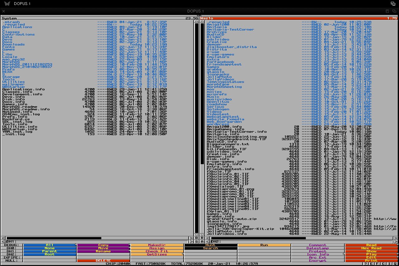 Great file manager Guide for Classic and Nextgen Amiga - Amitopia